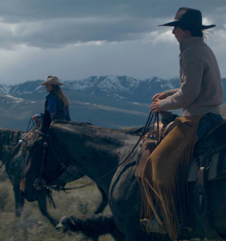 Catapult Film Fund - Films - Bitterbrush