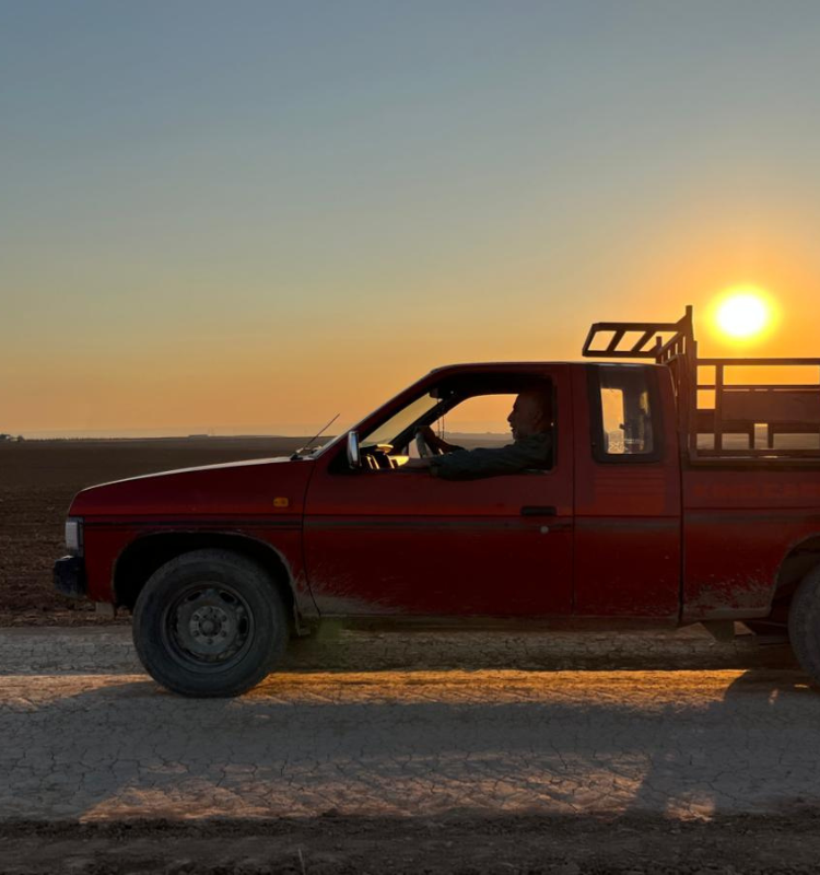 Catapult Film Fund - Films - Flying Cows