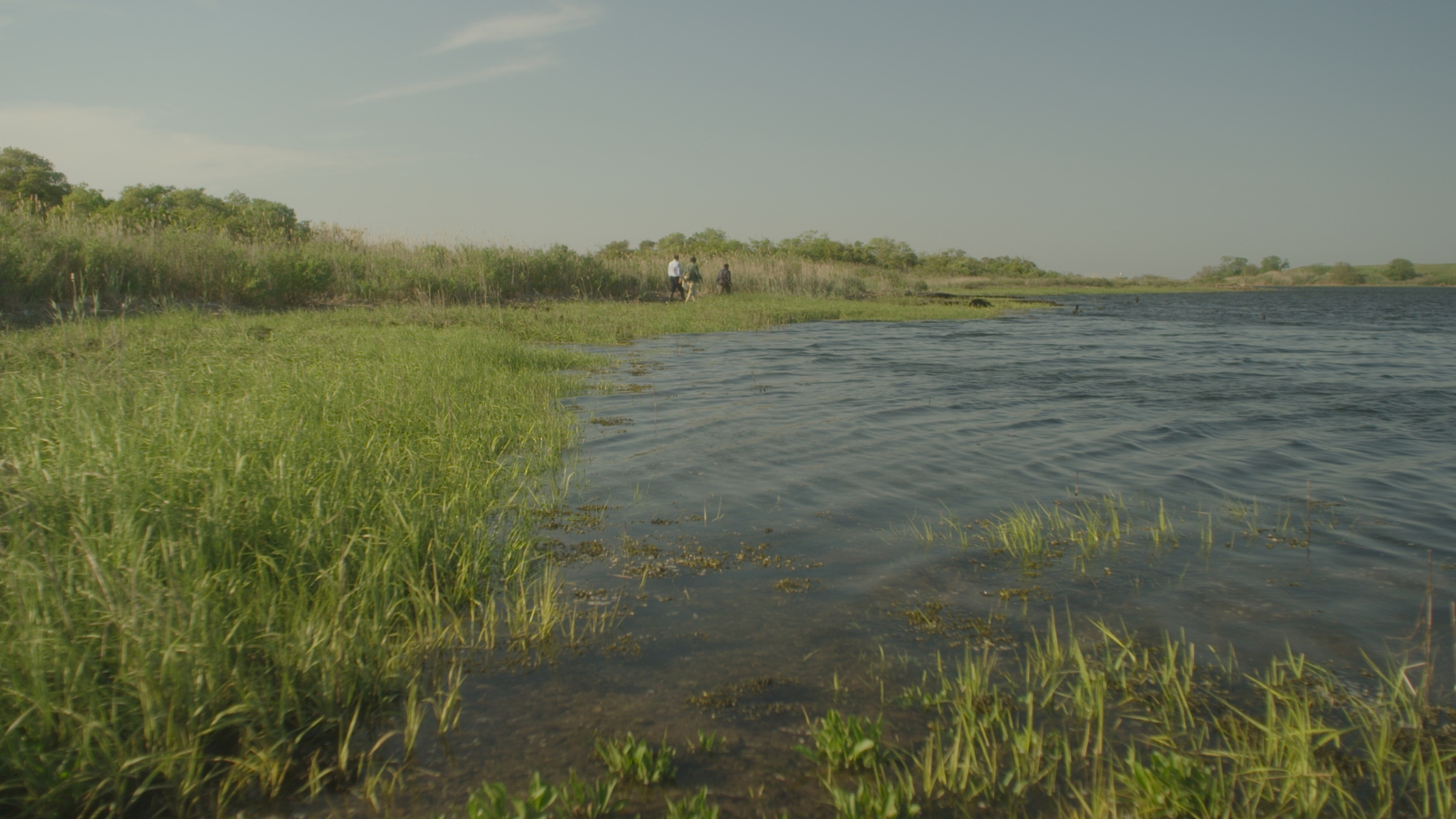 Catapult Film Fund - Films - Metropolis