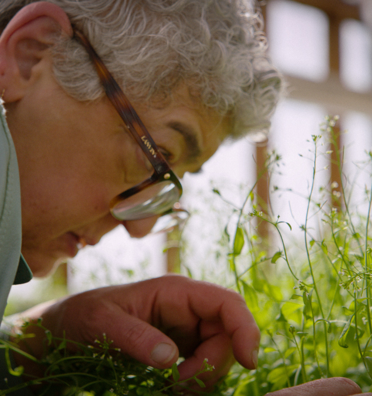 Catapult Film Fund - Films - Plant Life