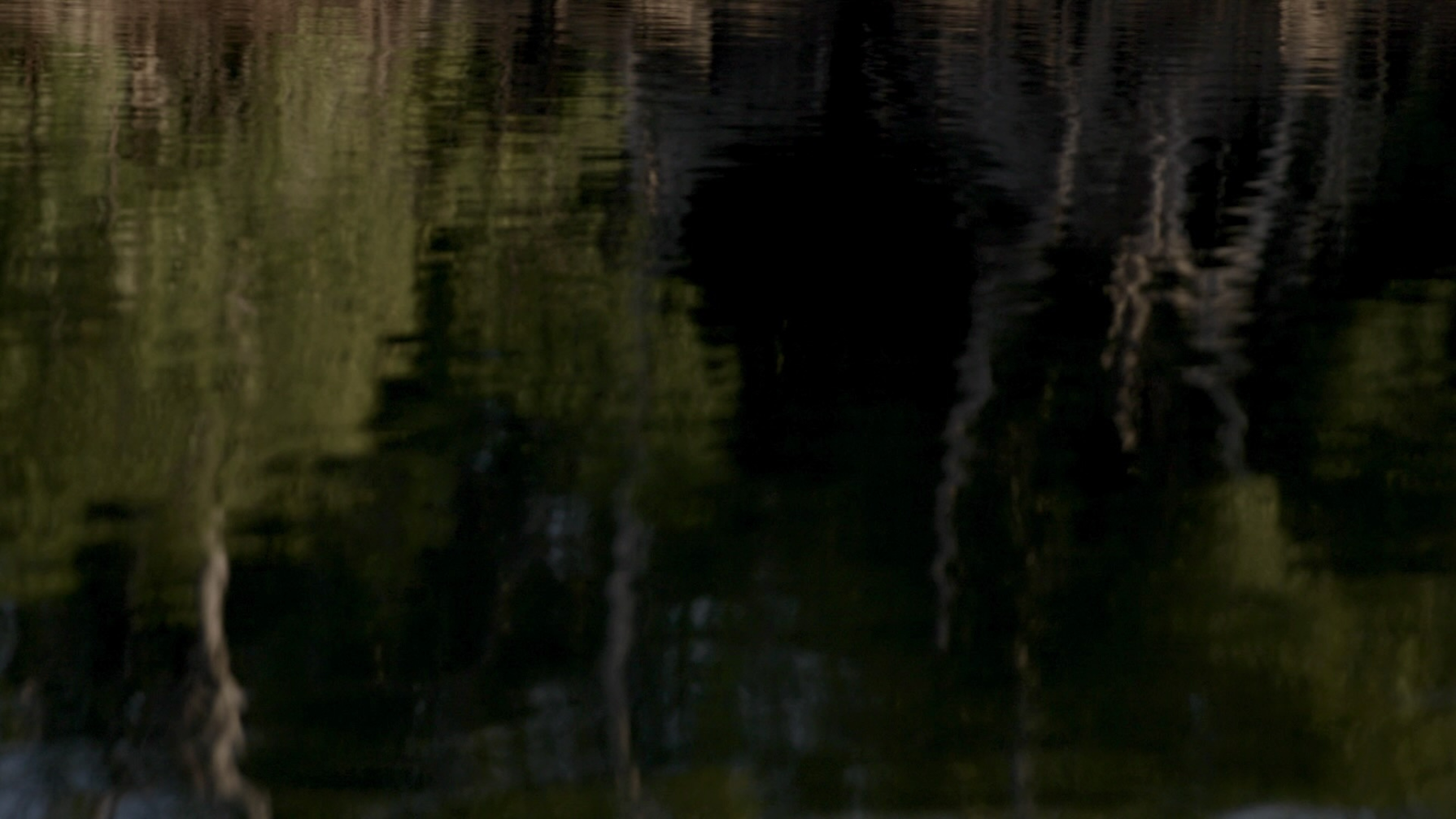 Catapult Film Fund - Films - The Hell of the Holy Spirit