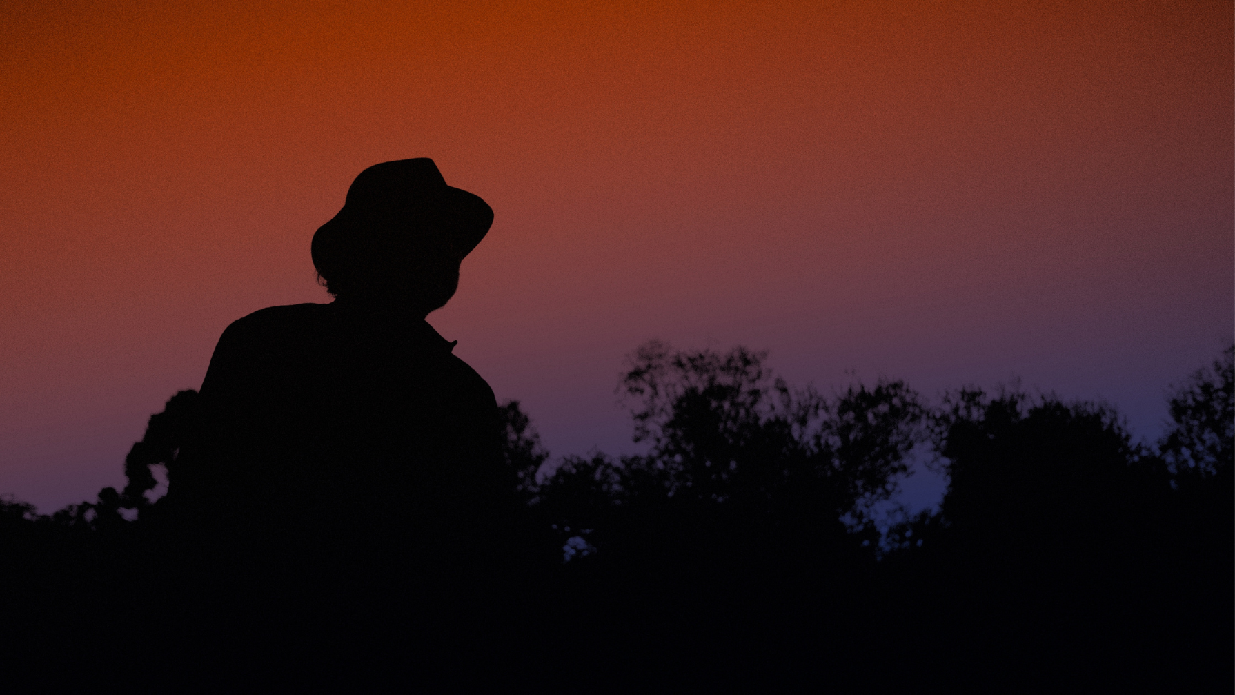 Catapult Film Fund - Films - Untitled Petra Costa Project